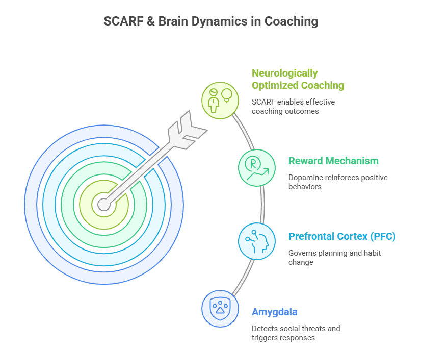 SCARF Model Explained | Brain-Based Coaching Tool — ANHCO