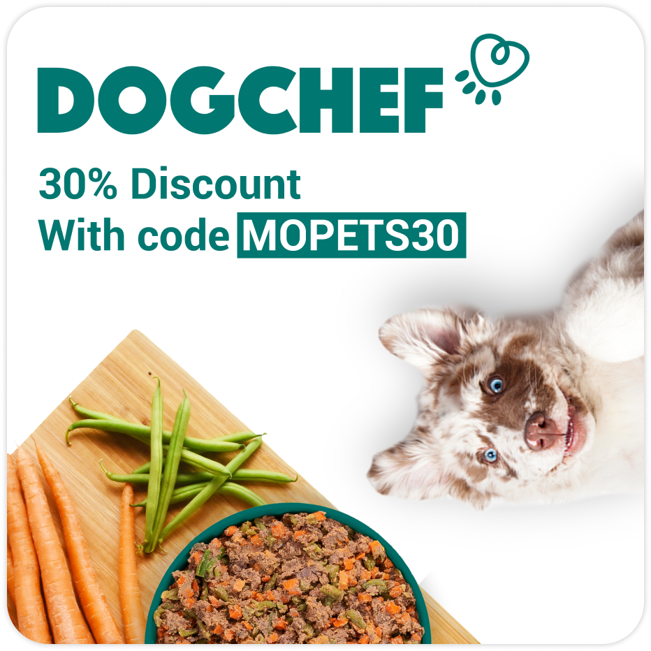 Mopets - Welcome to the Pet Lovers Club