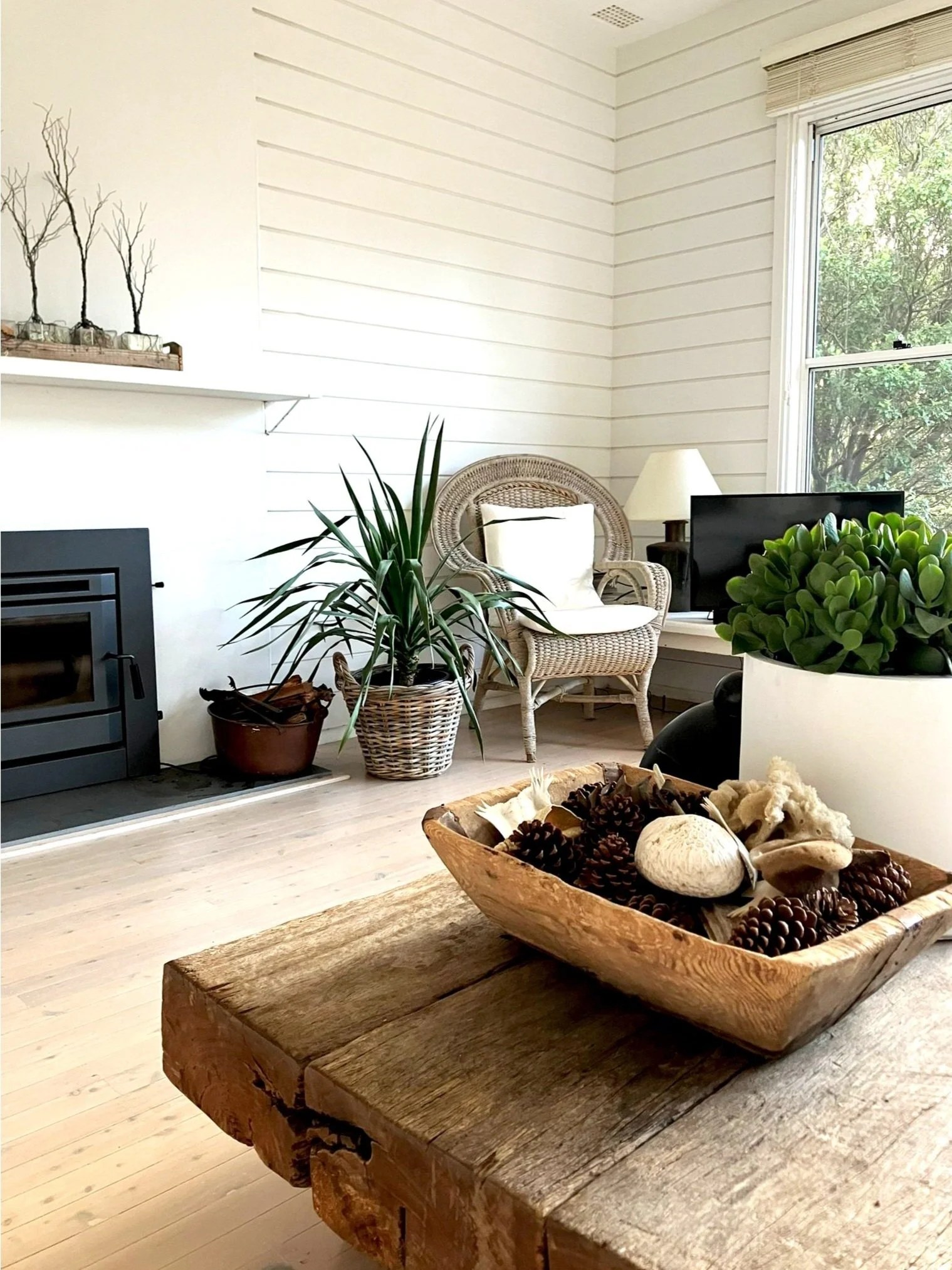 General 5 — Botanic Styling