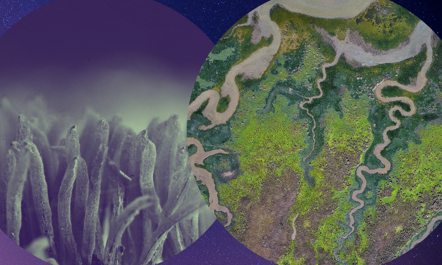 Transformative Solidarity Principles | Tools & Resources — Solidarity Is