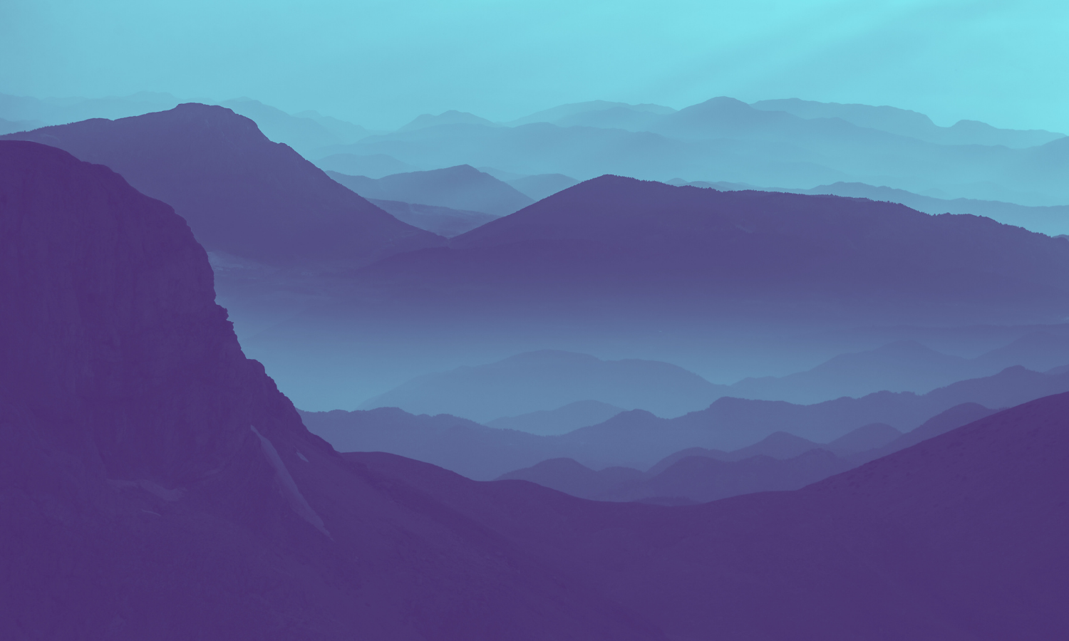 Transformative Solidarity Principles | Tools & Resources — Solidarity Is