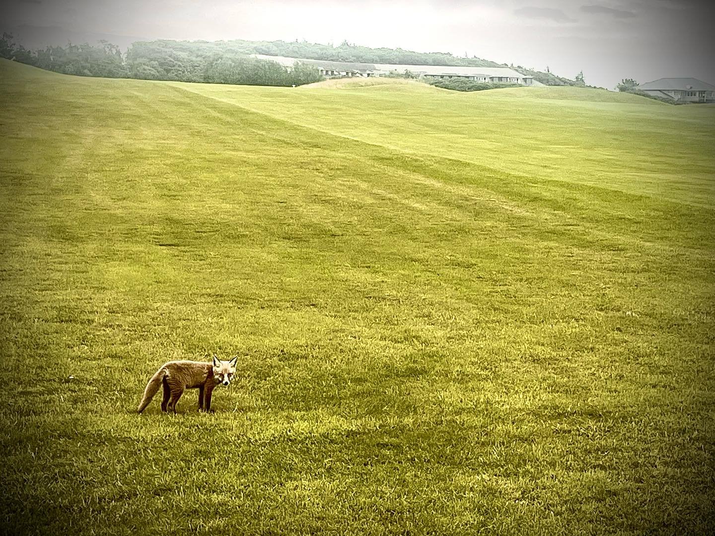 Cregboy Golf Academy