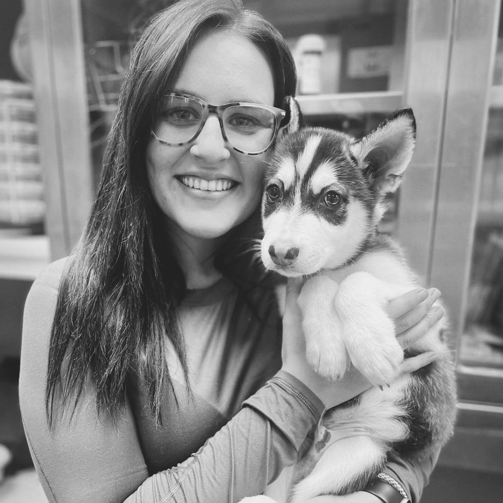 Services — Goose Creek Pet Hospital