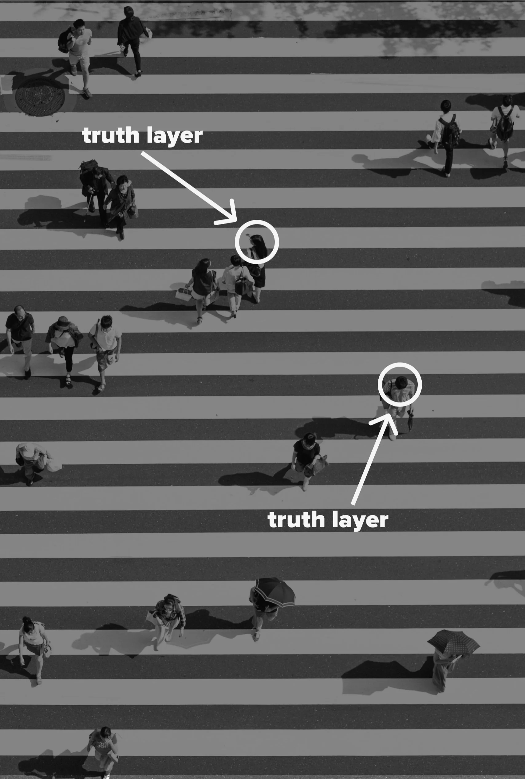 Truth Layer Design