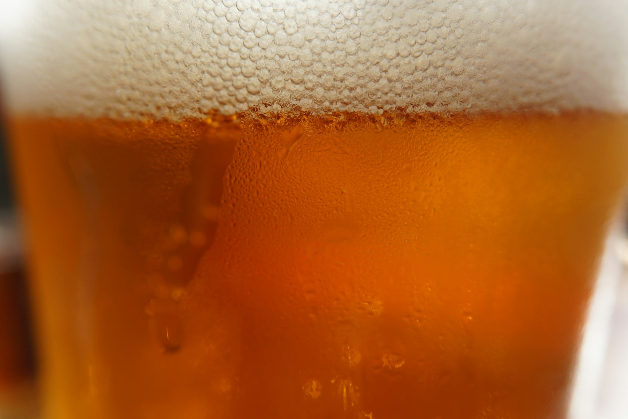Aspen Brewing Company (Copy)