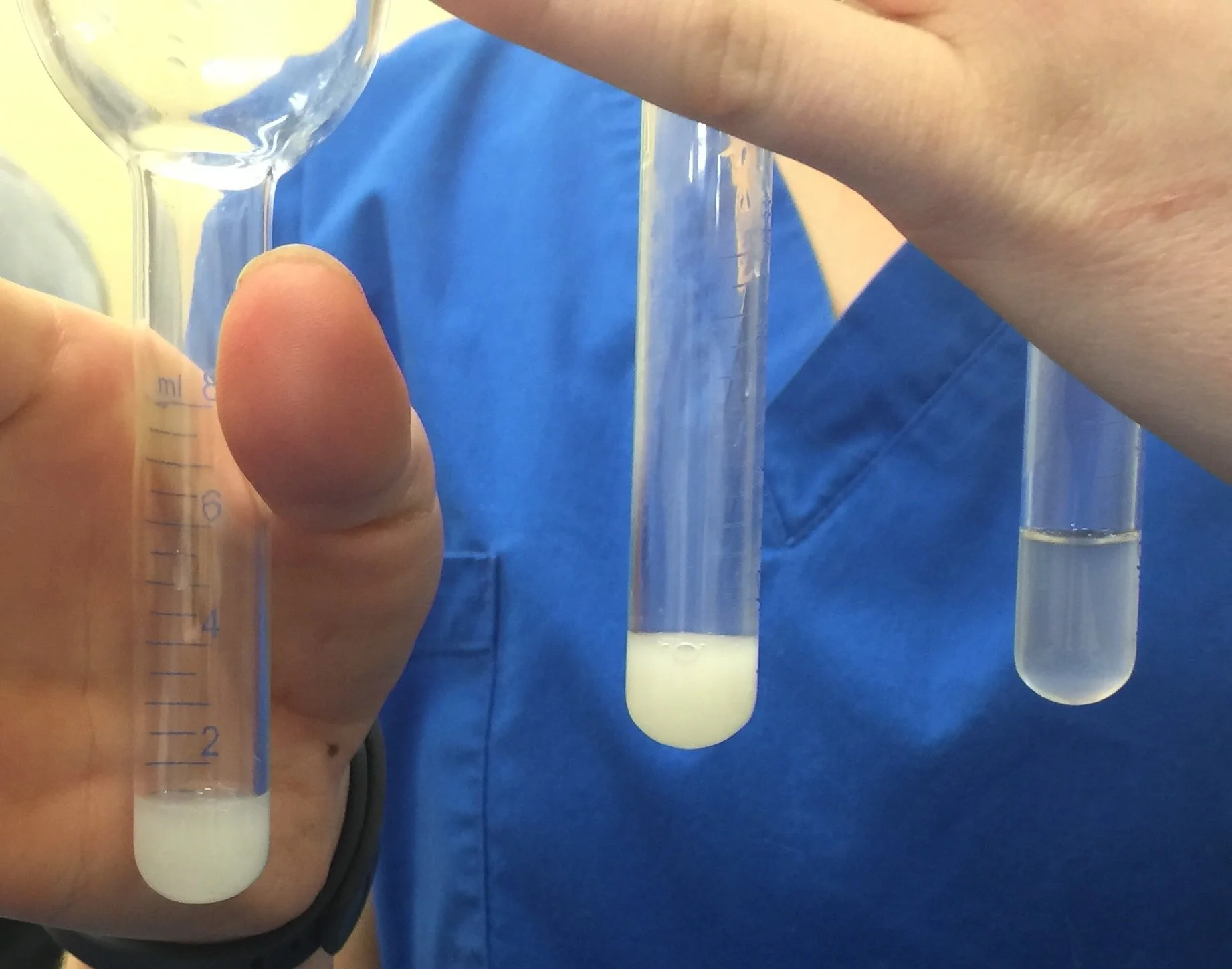 Semen Collection and Analysis — Animal Reproduction Australia