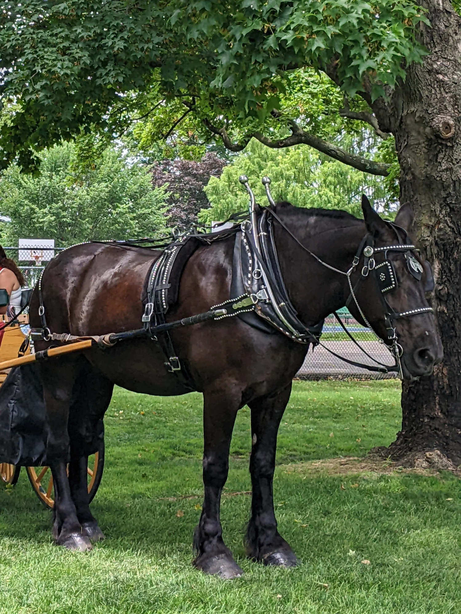Top Free Fourth of July Events in and around Jersey — Garden State ...