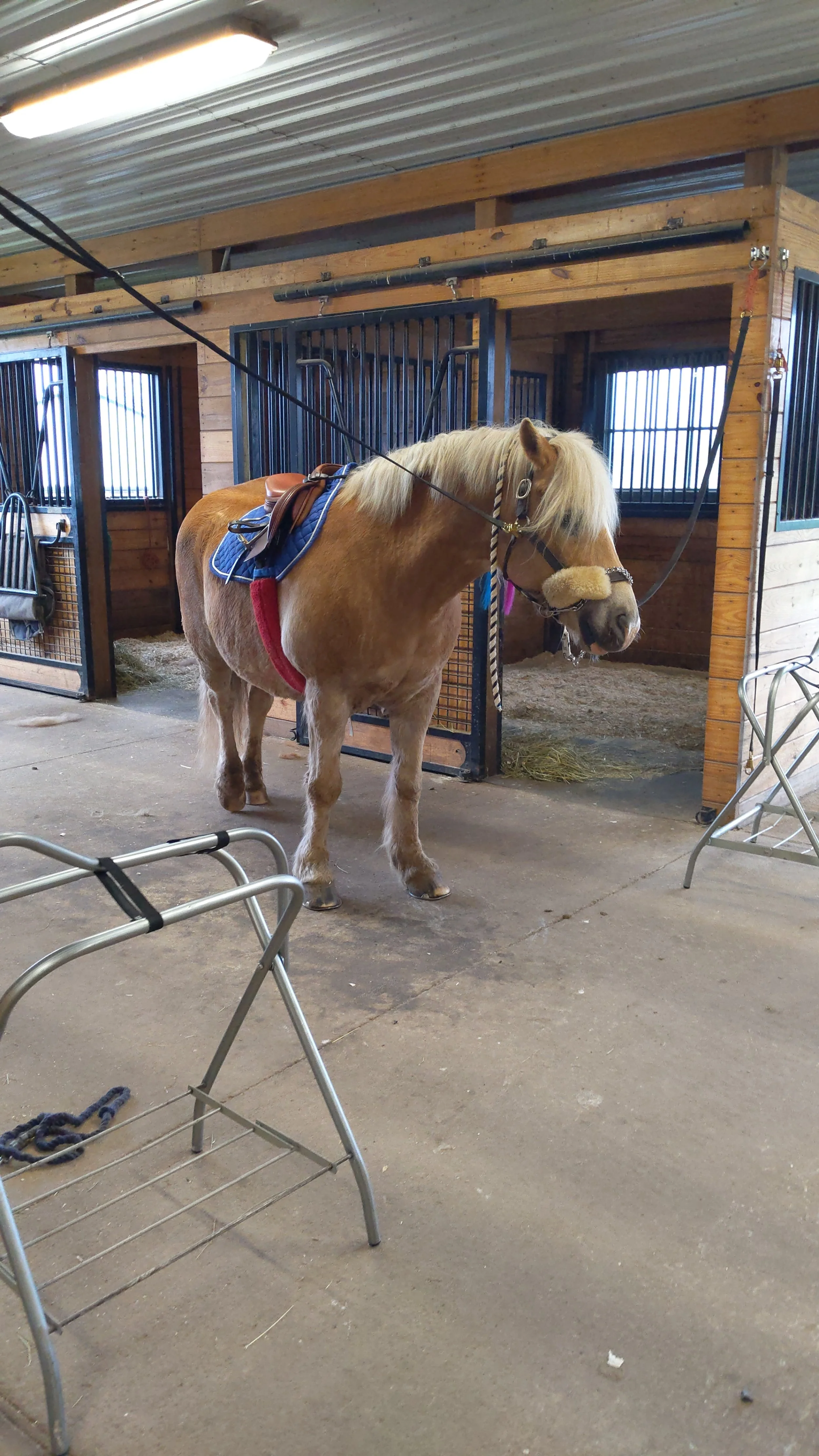 Tiny Riders Storytime — Garden State Globetrotter