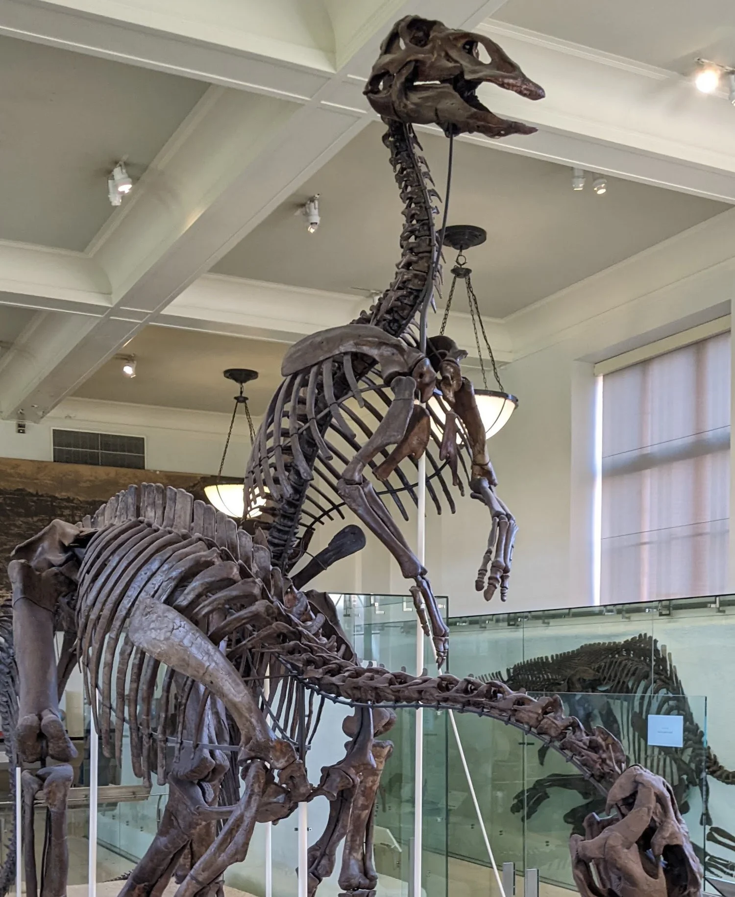 Hadrosaurus foulkii: Unearthing the Fossil Site & Sculpture — Garden ...