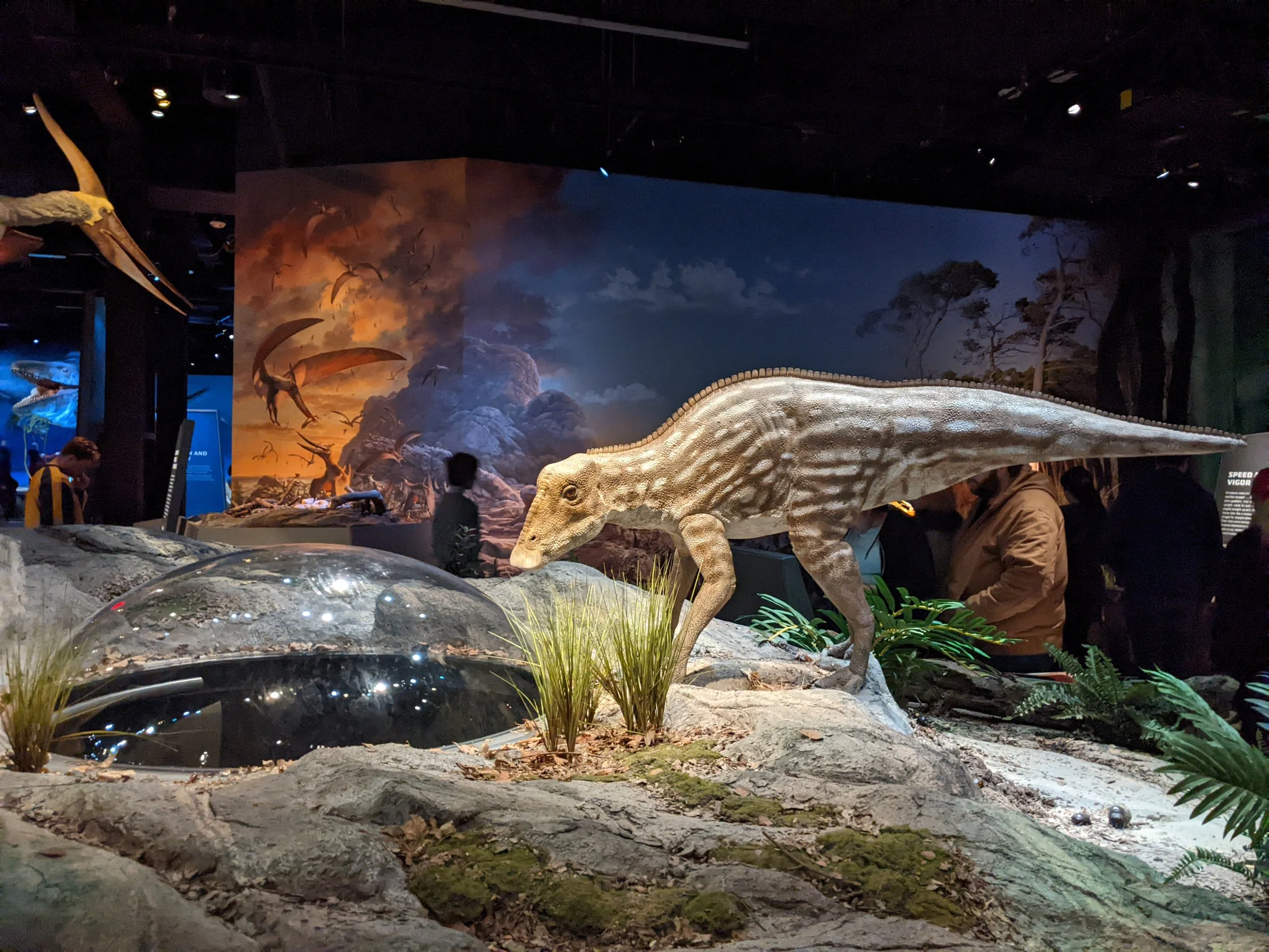 Hadrosaurus foulkii: Unearthing the Fossil Site & Sculpture — Garden ...