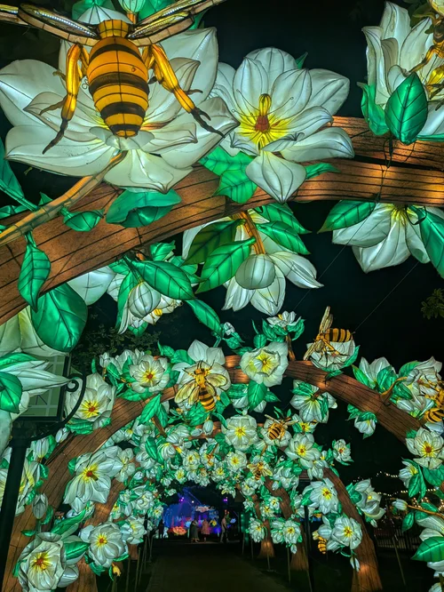 Experience the Magic at the Philadelphia Chinese Lantern Festival ...