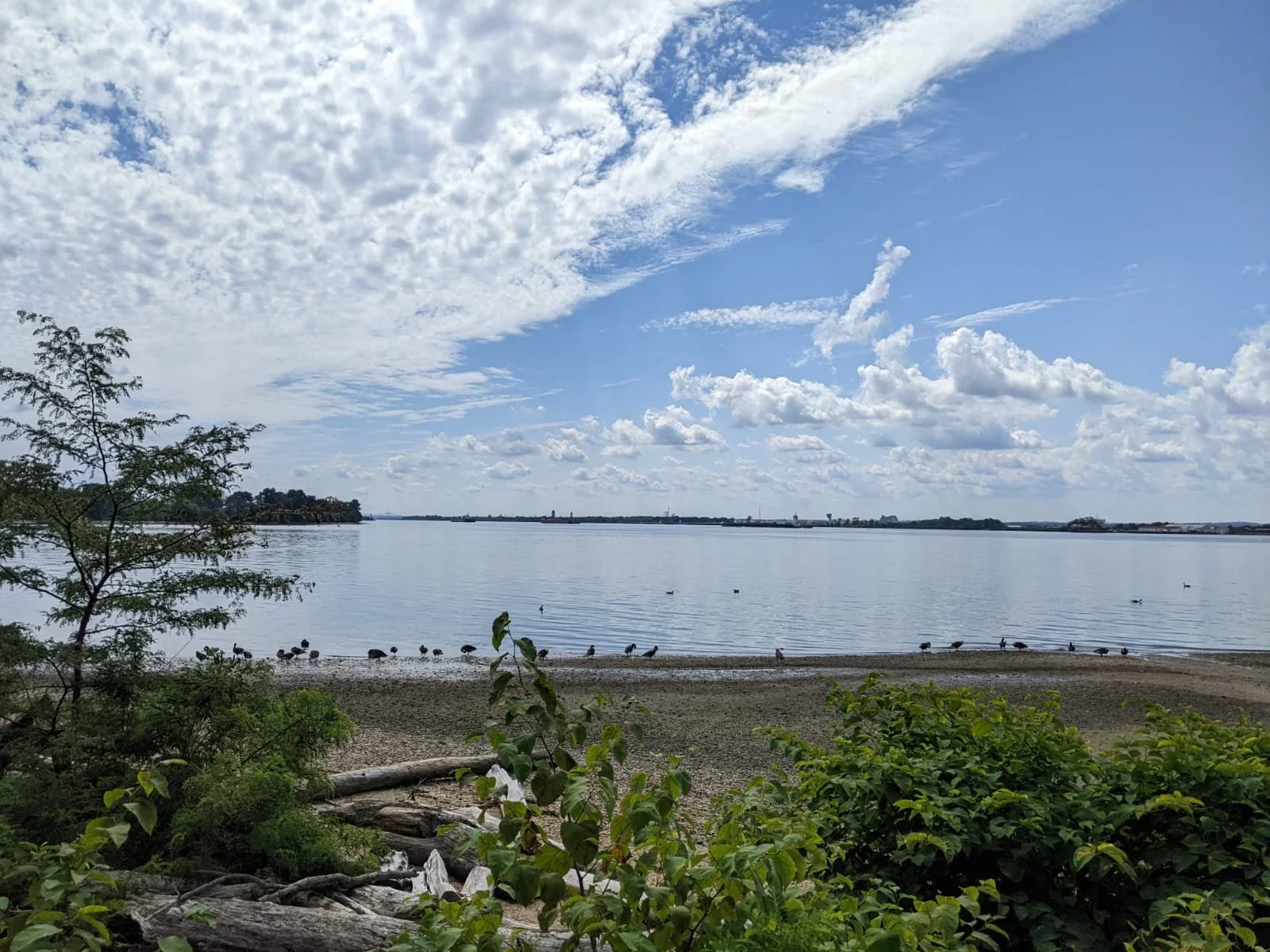 Butterflies and a Battle at Red Bank Battlefield Park — Garden State ...