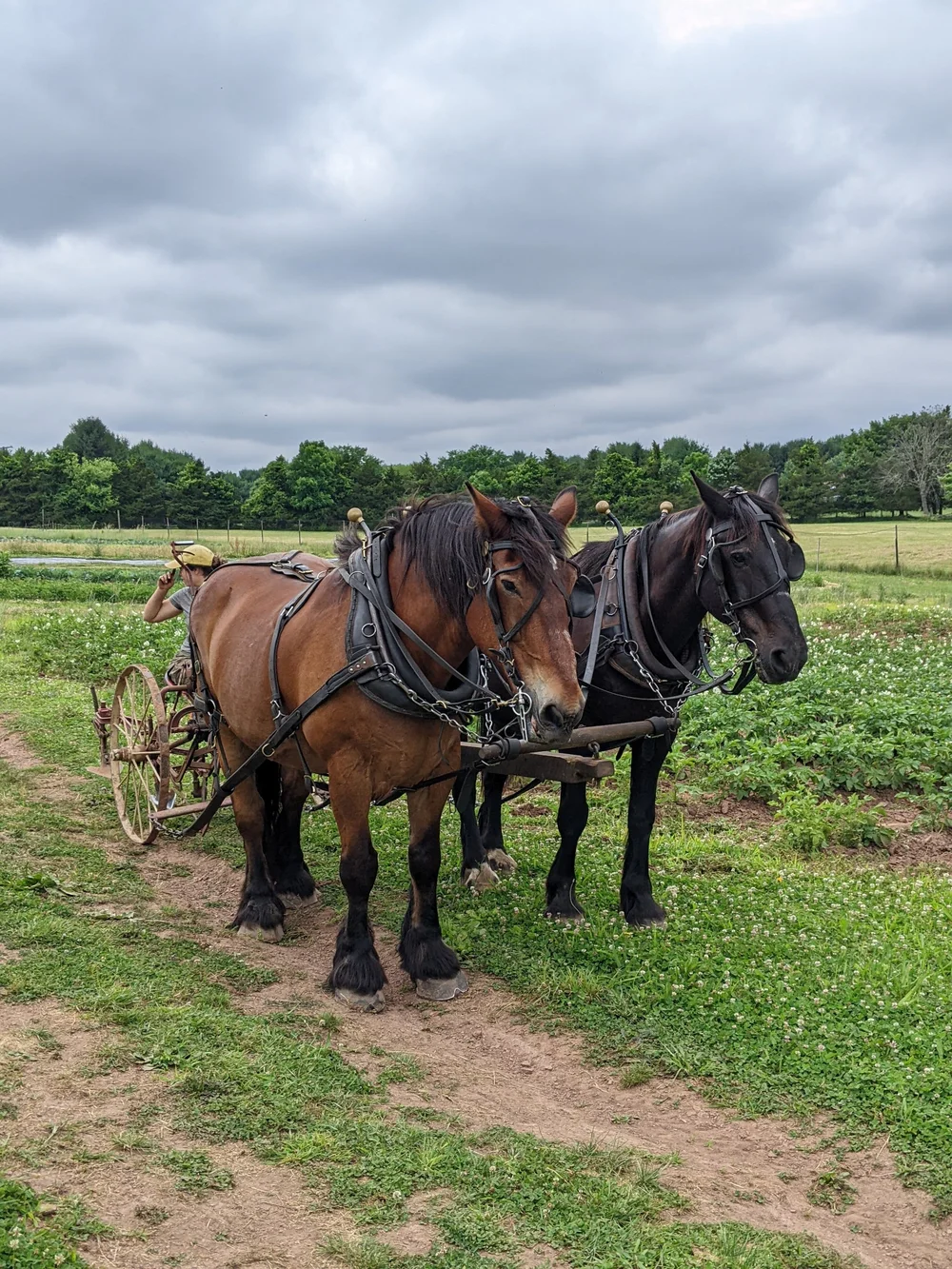 Howell Living History Farm — Garden State Globetrotter