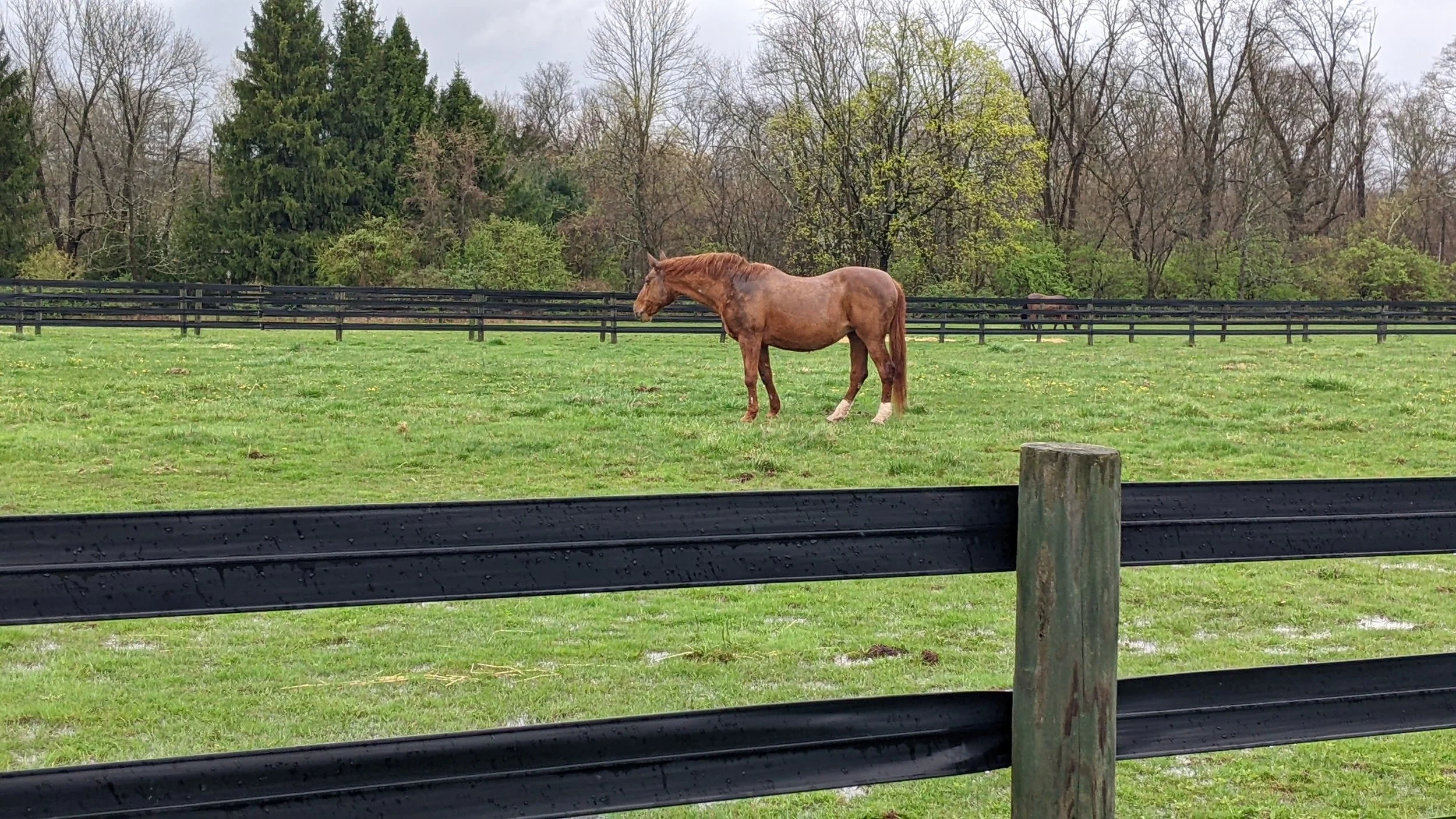 Tiny Riders Storytime — Garden State Globetrotter