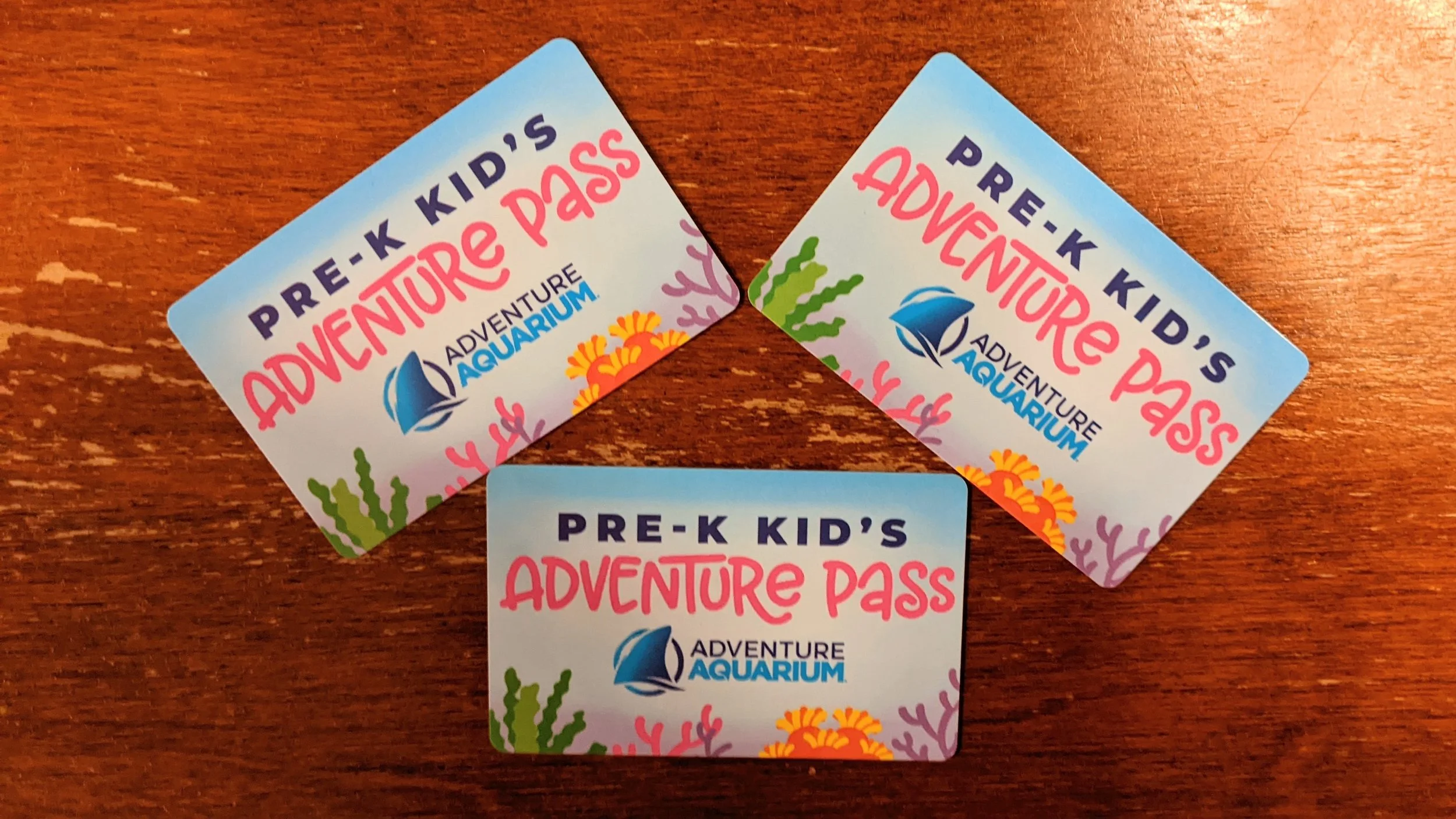 Adventure Aquarium: Free Pre-K Kid's Adventure Pass — Garden State ...