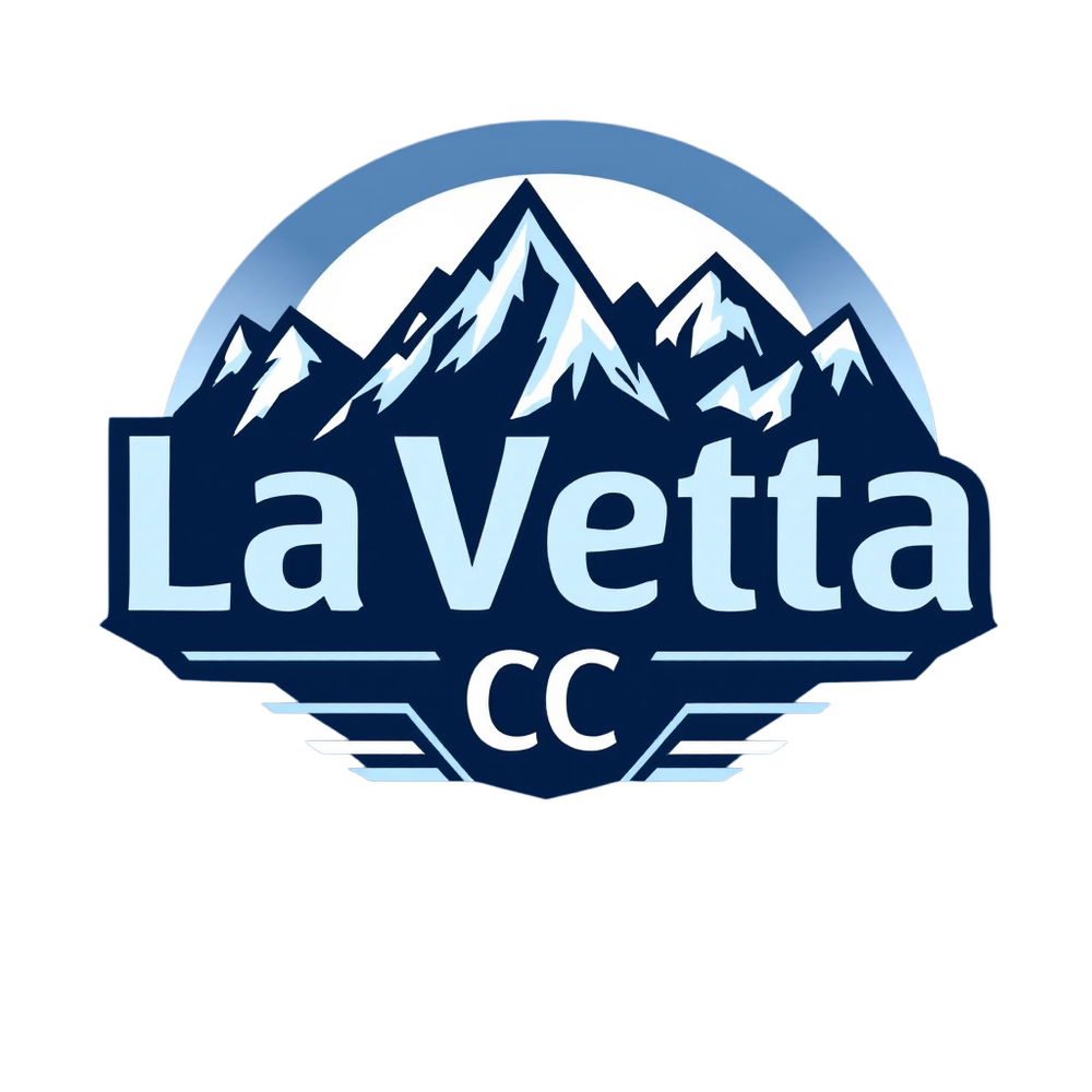 Vetta Cycling High Performance Lightweight Carbon Wheelsets