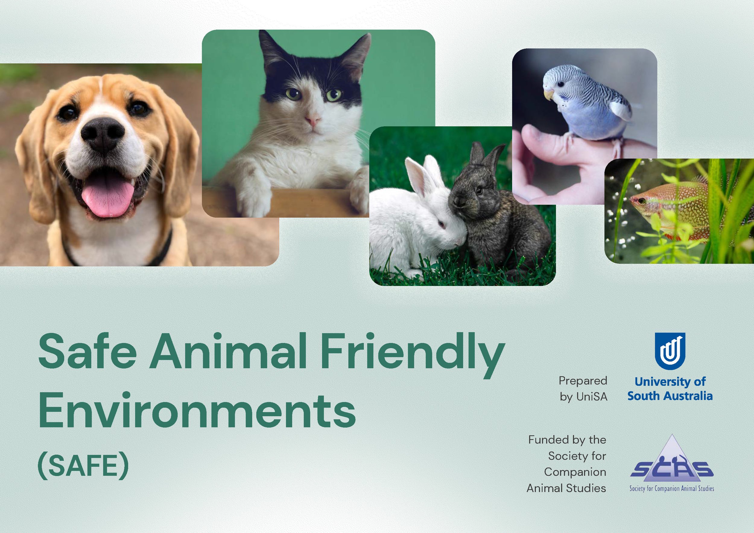 Pets and Housing — Society for Companion Animal Studies