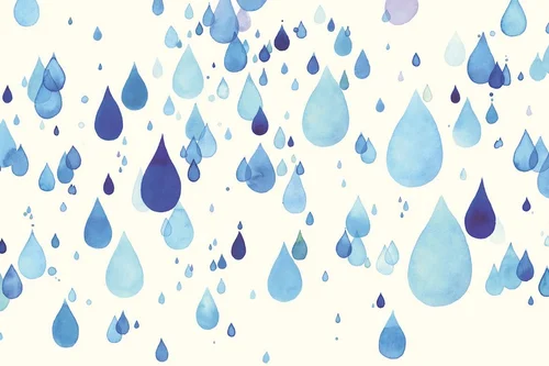 Nomoco — Pocko.com