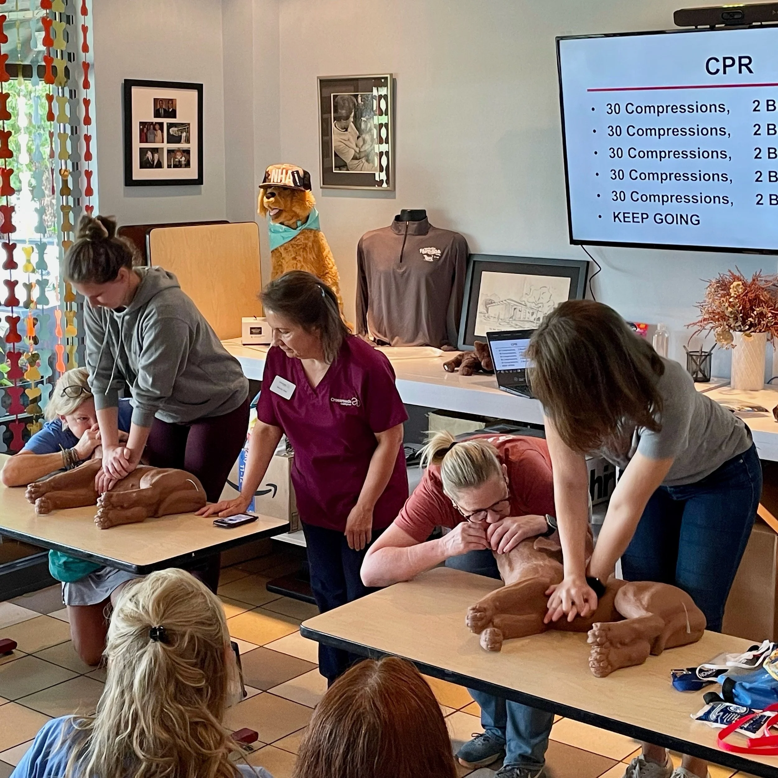 Pet First Aid + CPR Class for Pet Parents — Crossroads Campus ...