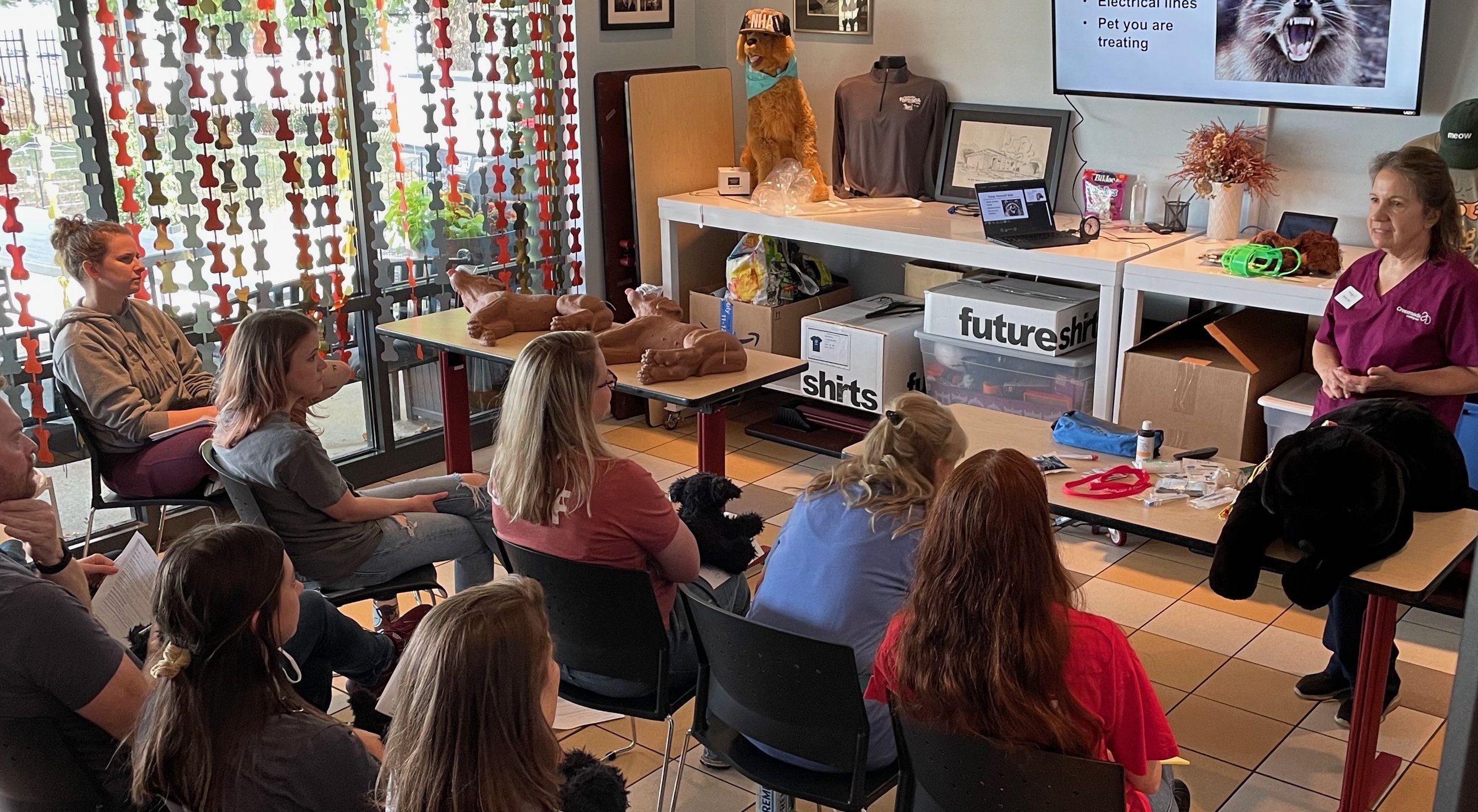 Pet First Aid + CPR Class for Pet Parents — Crossroads Campus ...