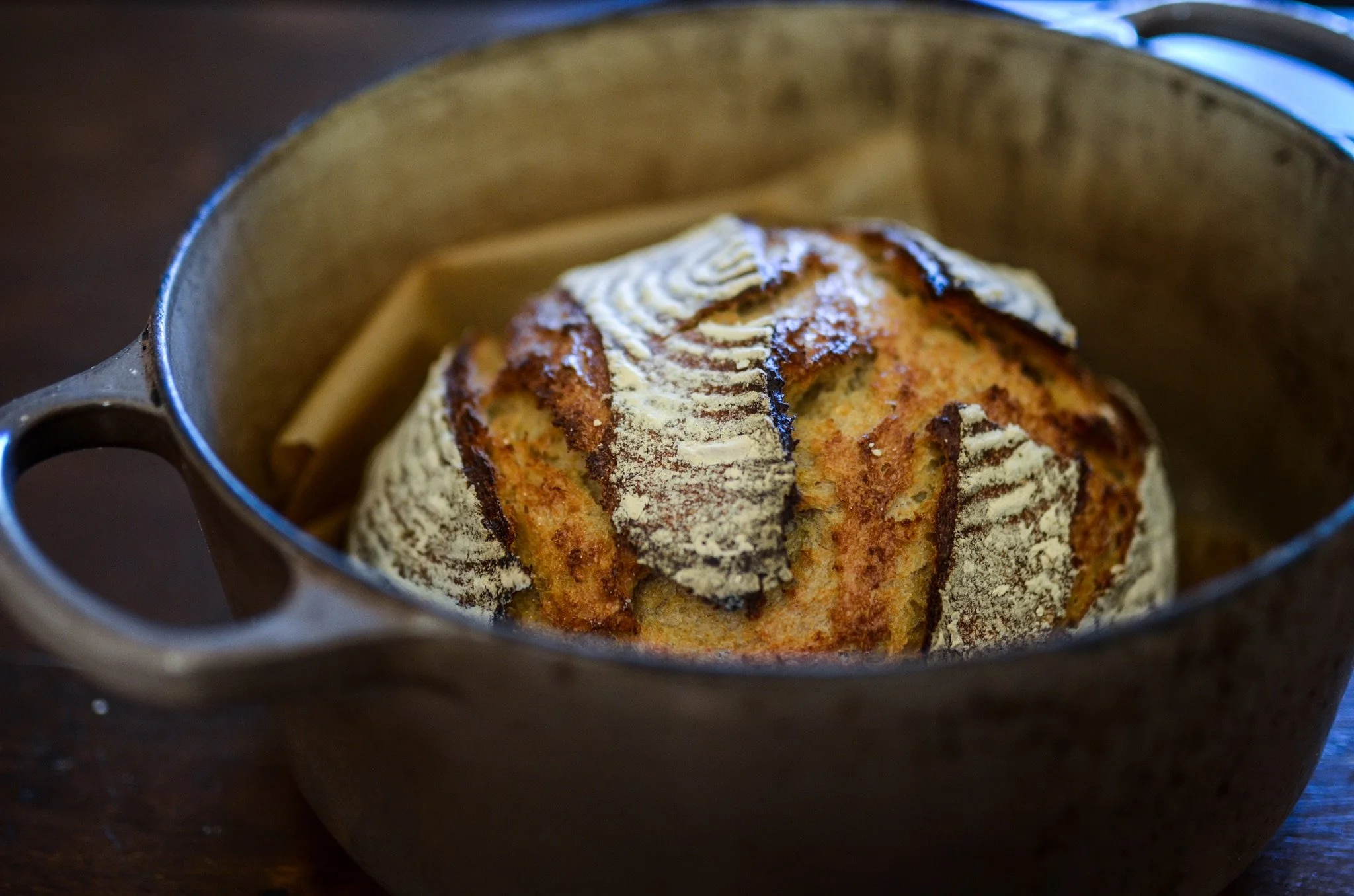 Whole Grain Sourdough Bread — The Elliott Homestead