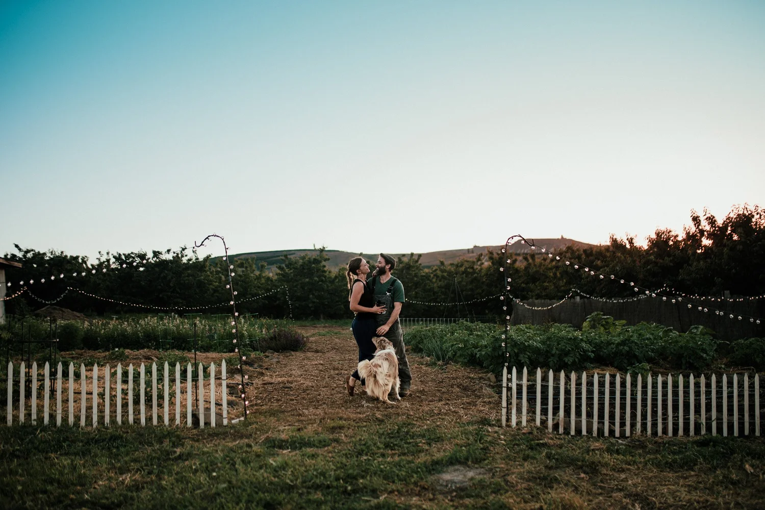 How To Build A Pig Shelter — The Elliott Homestead