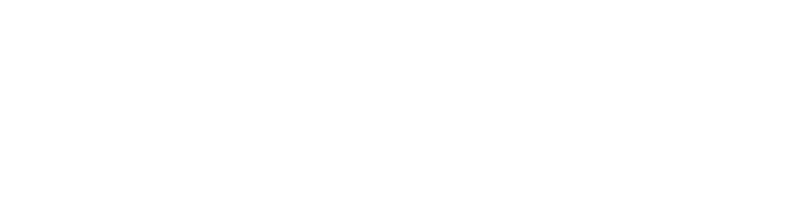 Contact 1 — Elev8 Resilience