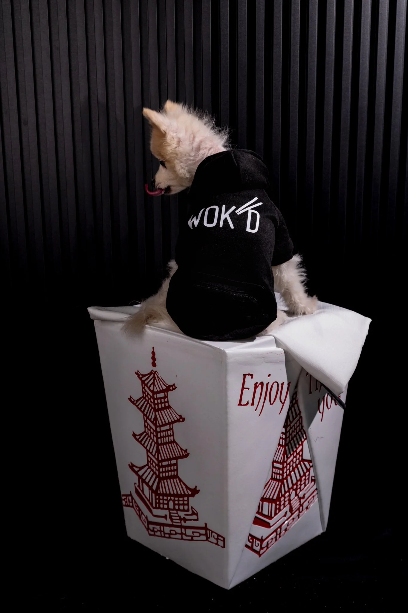 Behind the Wok — Wok'd
