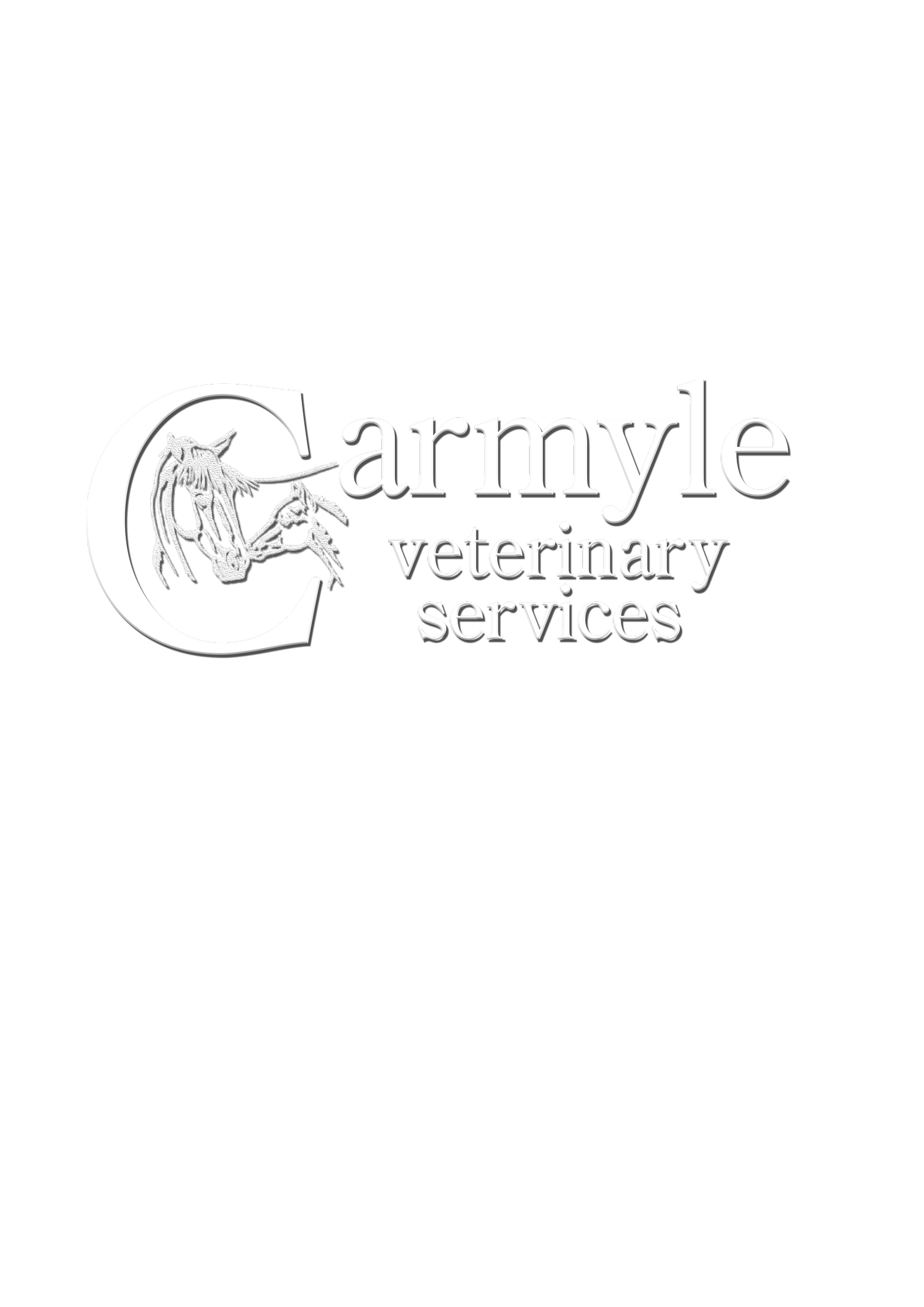 Carmyle Veterinary ServicesCarmyle Veterinary Services, Allan Simson’s