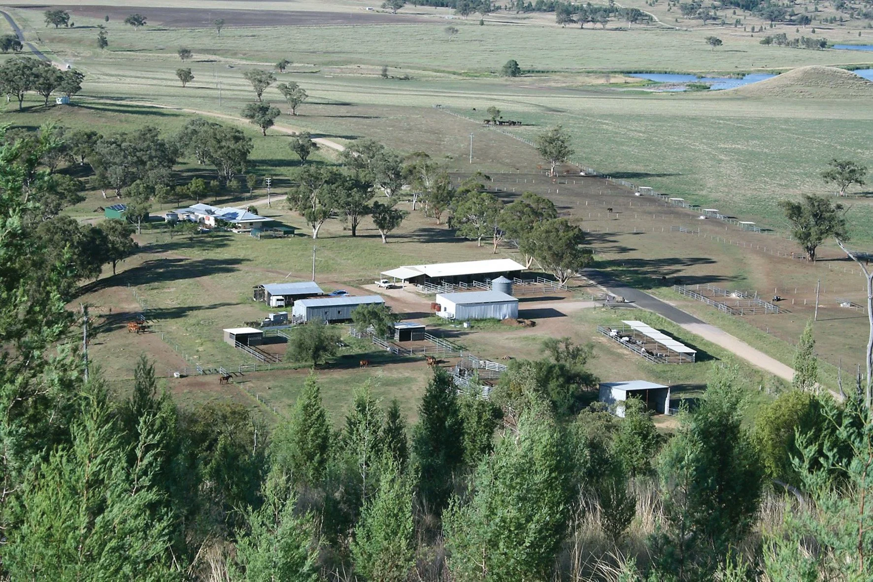 Contact — Carmyle Veterinary Services