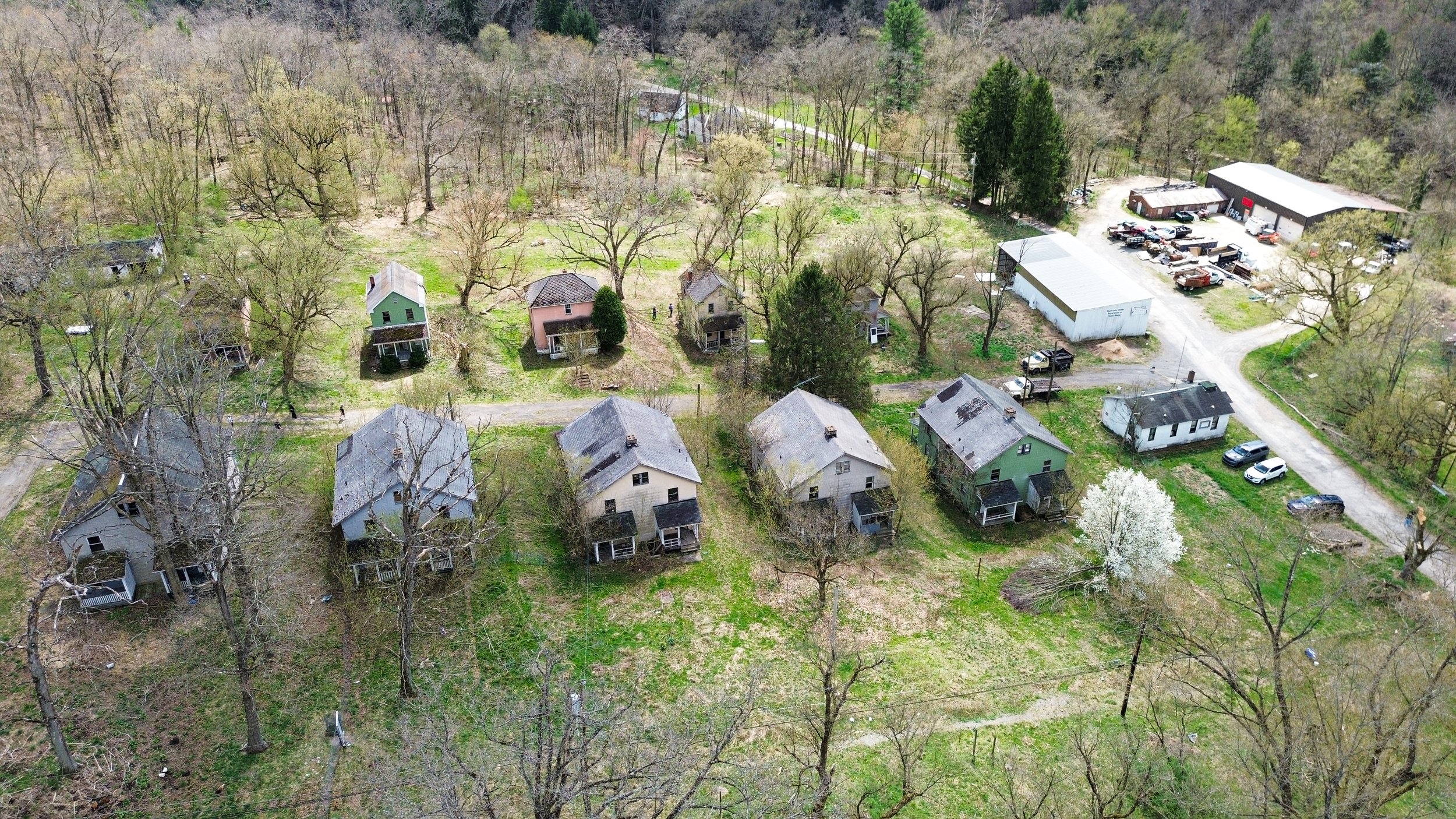 Yellow Dog Village