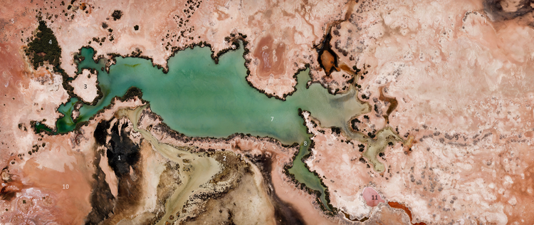 Lake McLeod Wetlands — Oceanwise Australia