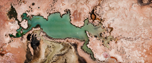 Lake McLeod Wetlands — Oceanwise Australia