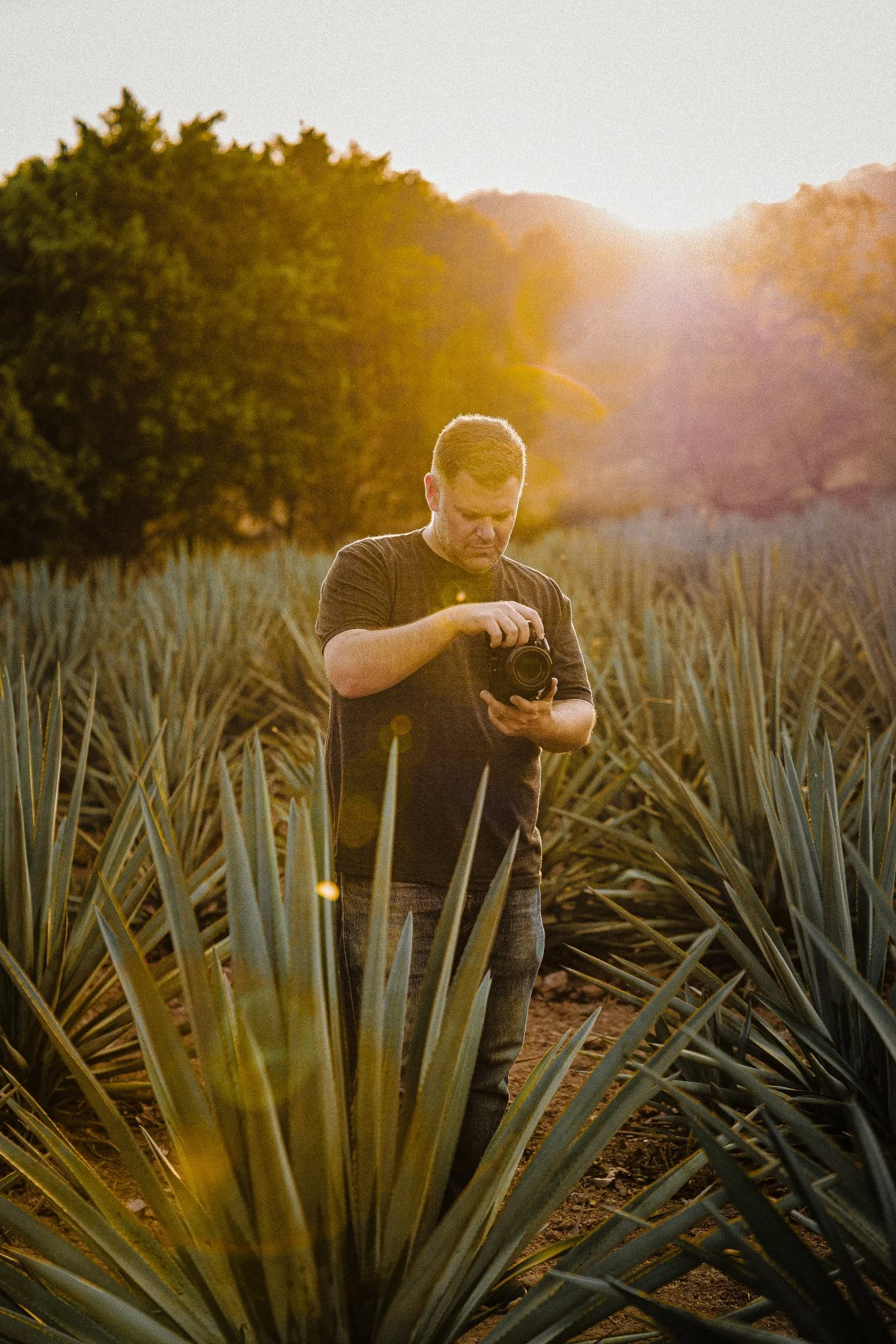 The Agave Social Club