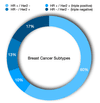 Breast Cancer Subtypes: Understanding Your Diagnosis