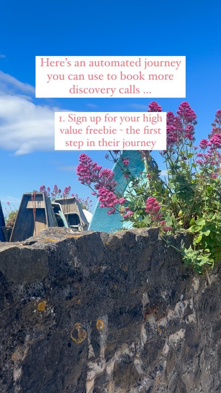 Freedom Funnel Blueprint — Alice Bjorkstrand