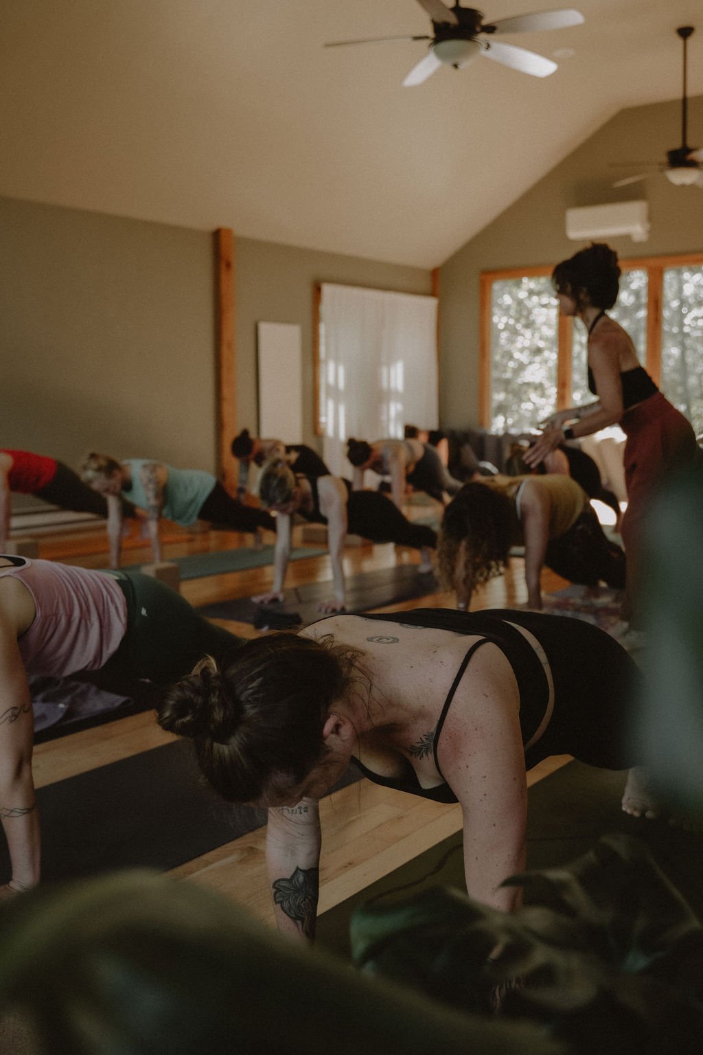 Wild Lotus Collective