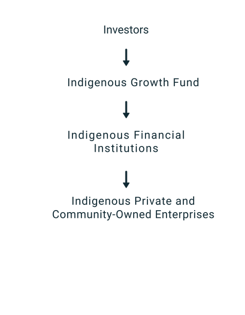 Indigenous Growth Fund
