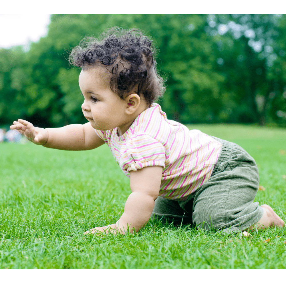 General 2 — Lone Star Nannies | North Texas Nanny Agency | Full-time ...