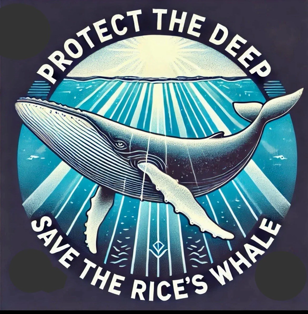 Educational Resources — Protect Rice's Whale | Learn about Rice's Whale