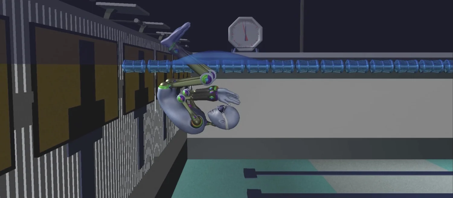 Fluid Mechanics Swimming Avatars
