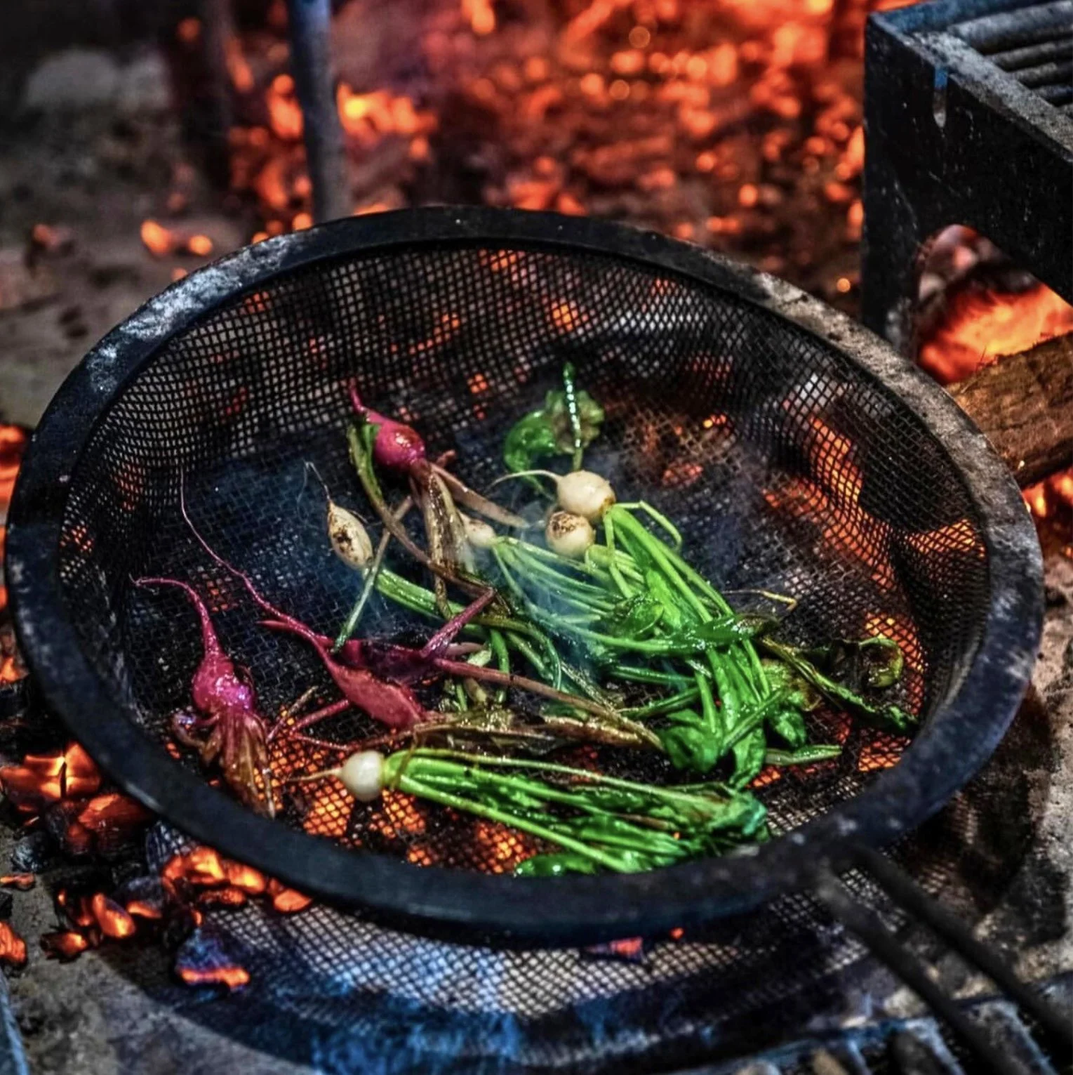 Store — Grills by Demant