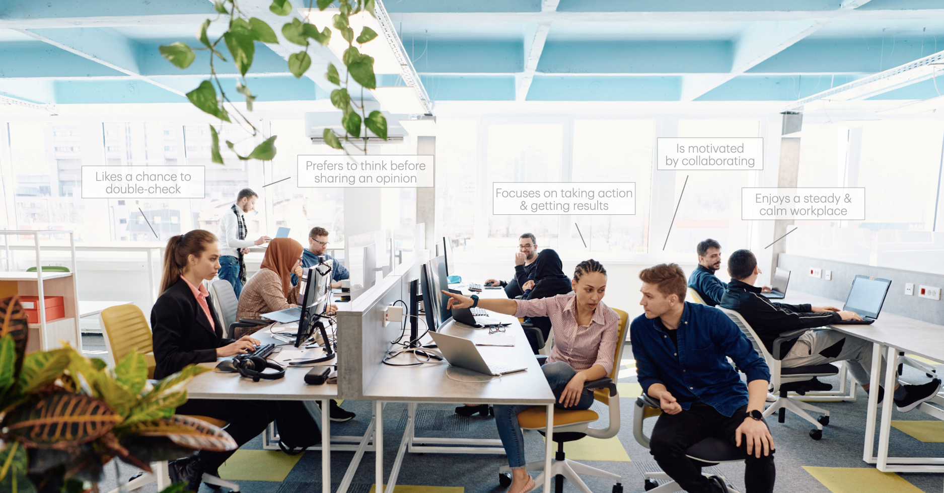 DISC Assessment Profiles