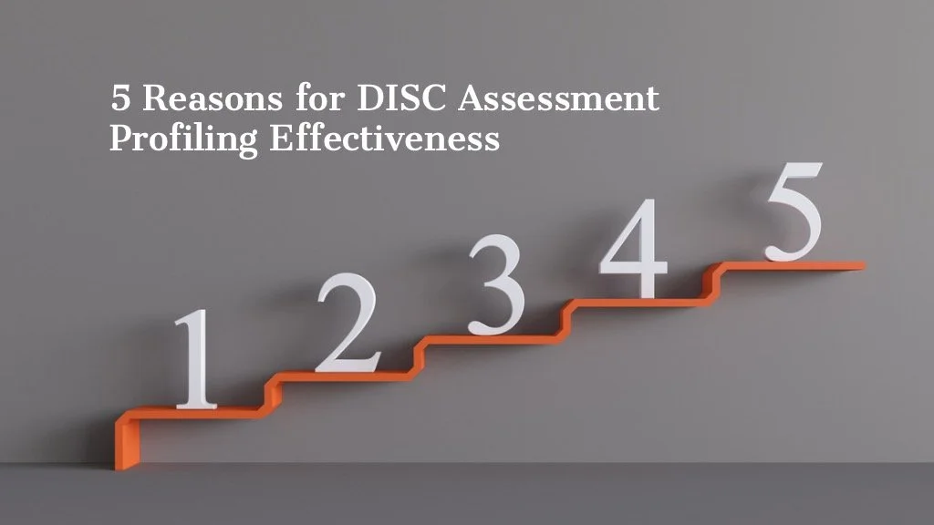 The 5 Reasons Why DISC Assessment Profiling is So Effective — The New ...