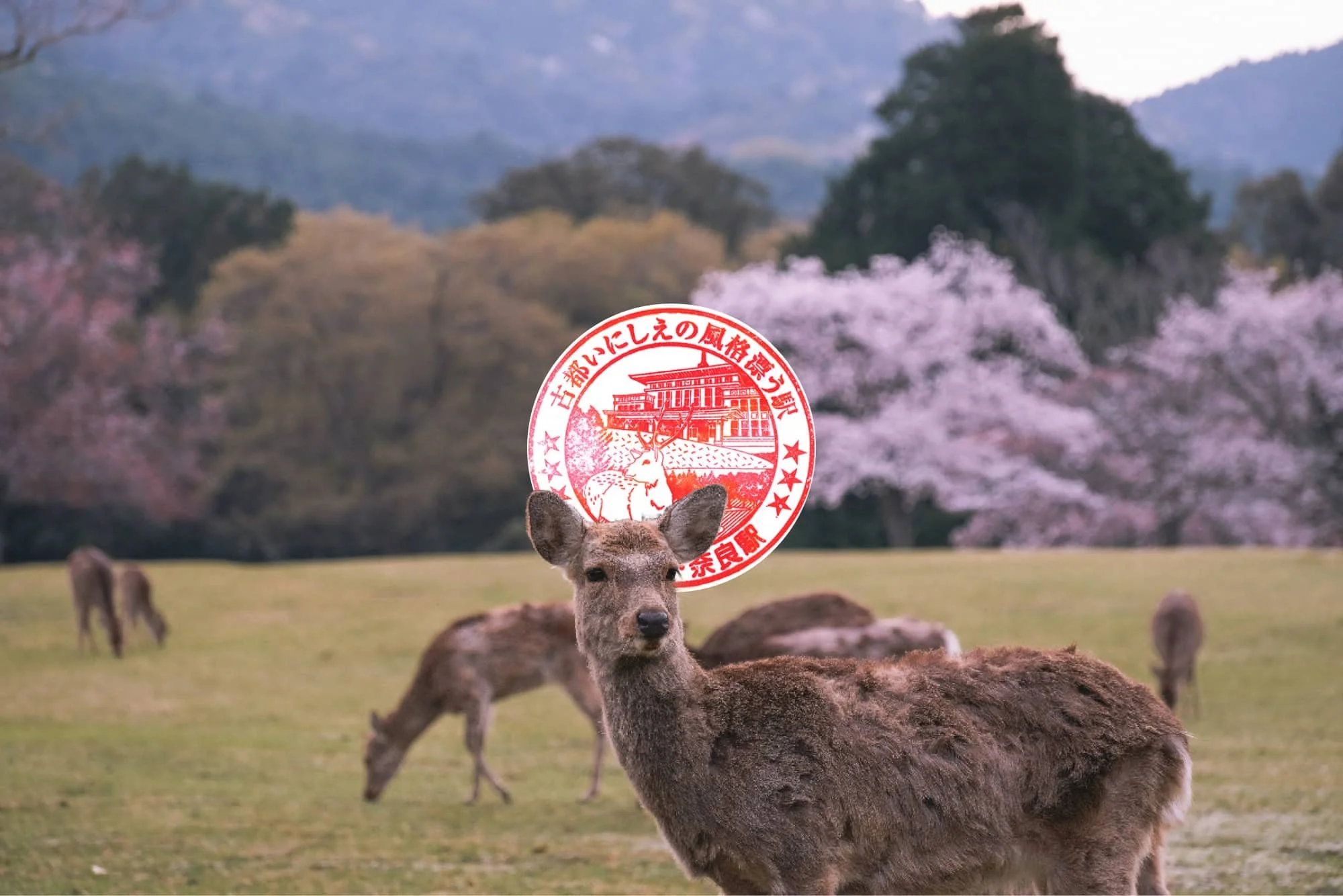 Stamp Quest - Discover & Collect Japan's Eki Stamps