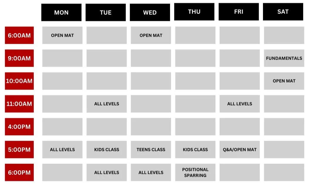 Jiu Jitsu Class Timetable — NorthSouth Jiu Jitsu