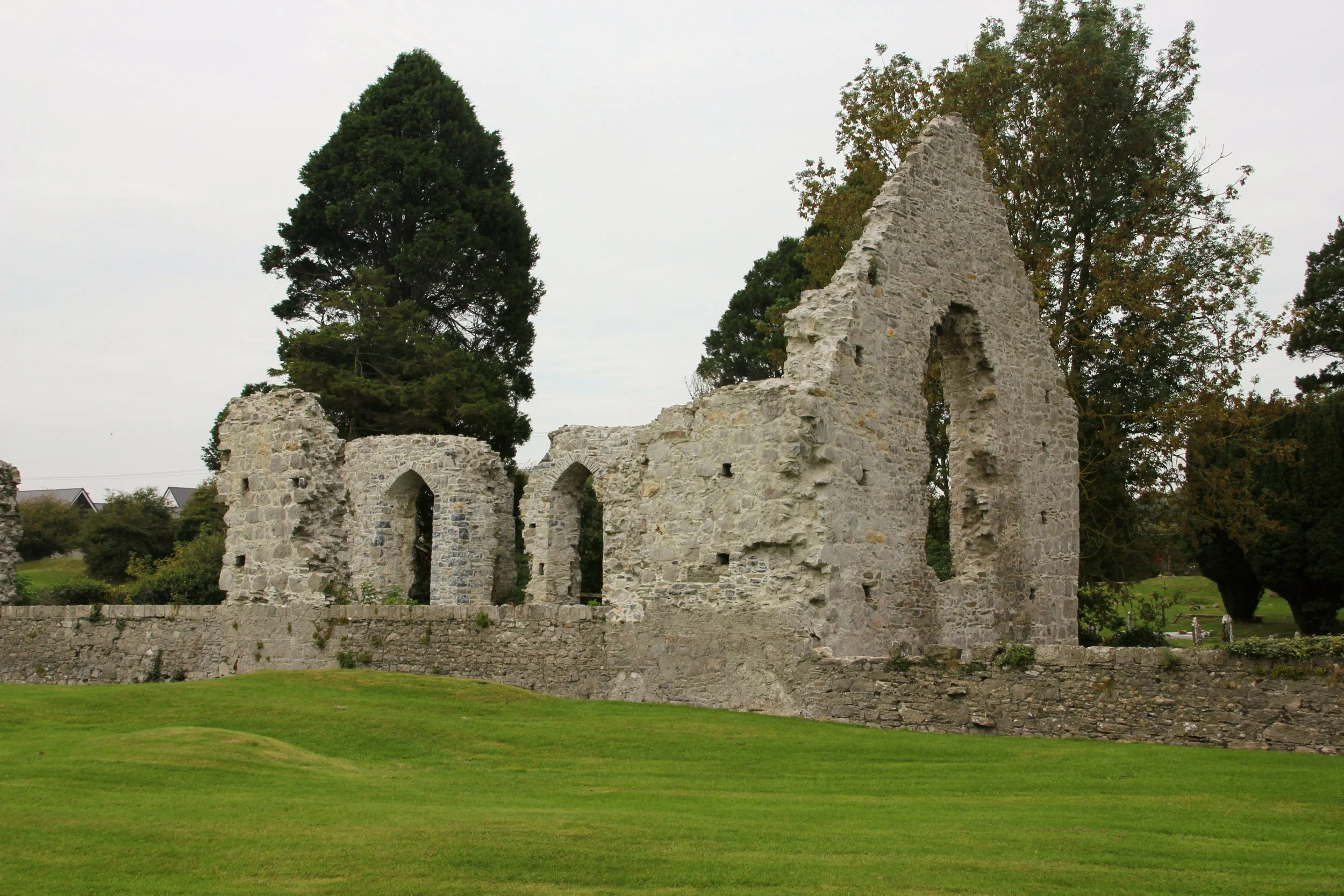 The Three Abbeys of Kildare Town — Kildare Heritage