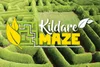 Kids Activities Kildare | Explore Kids Activities Today — Kildare Heritage
