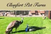 Kids Activities Kildare | Explore Kids Activities Today — Kildare Heritage