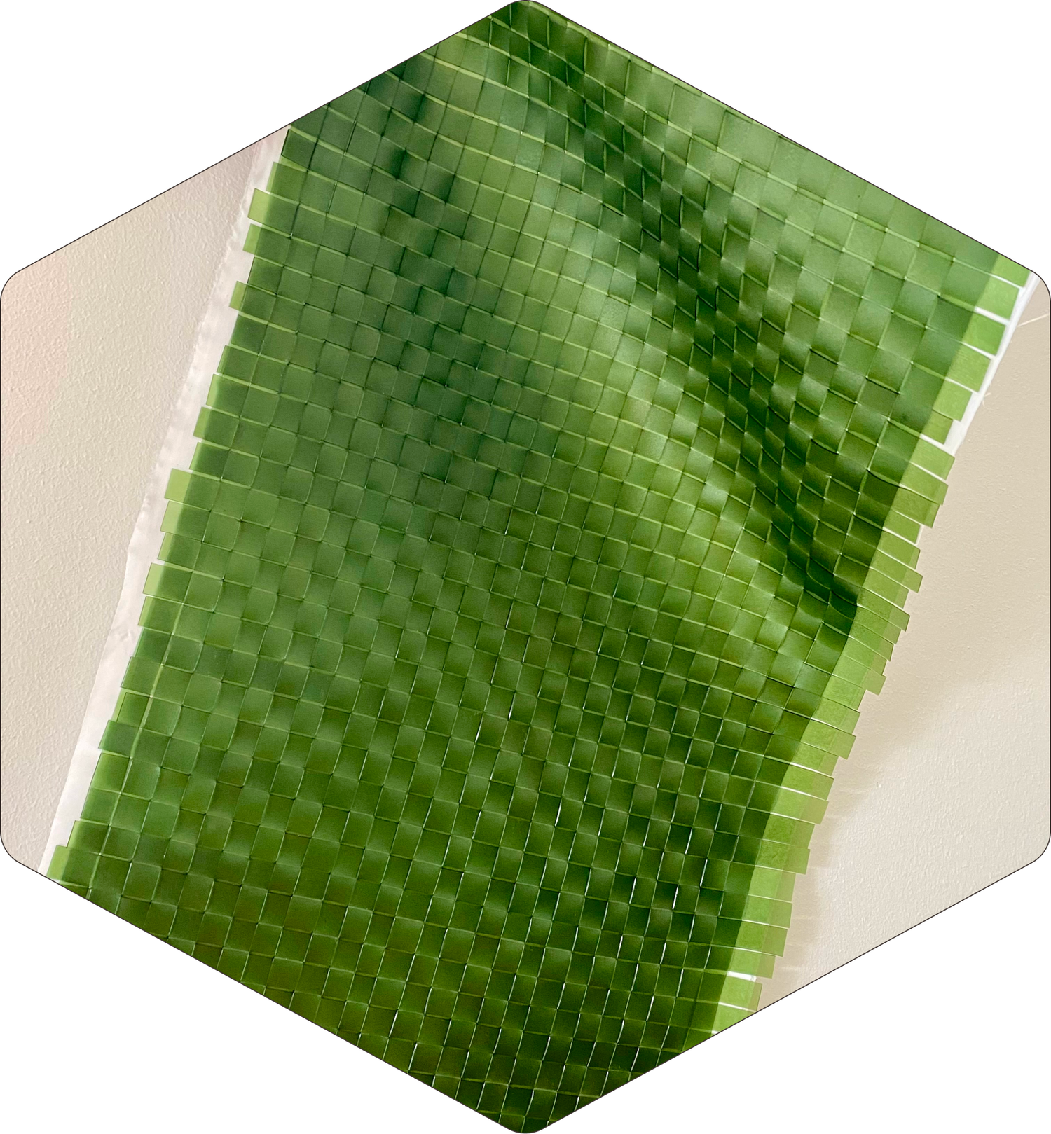 Algae Skin — Your Site Title